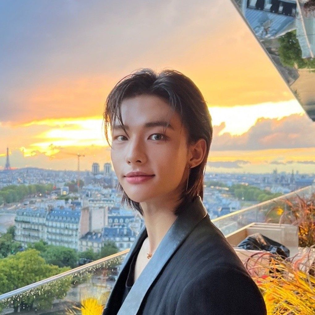 Stray Kids:CHOEAEDOL - Hottest idol community